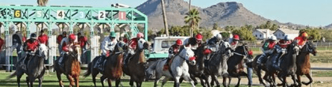 Turf Paradise Racetrack : Turf Paradise Horse Racing Tips