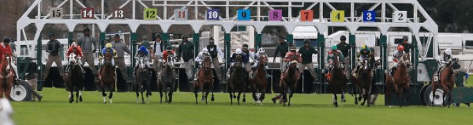 Fair Grounds Race Track : Fair Grounds Race Track Picks